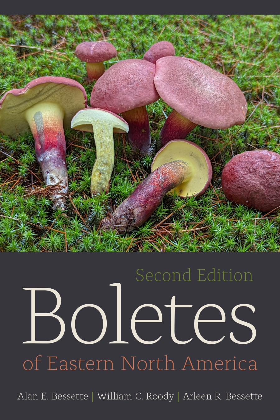 Boletes of Eastern North America in Fungi Magazine – Syracuse ...